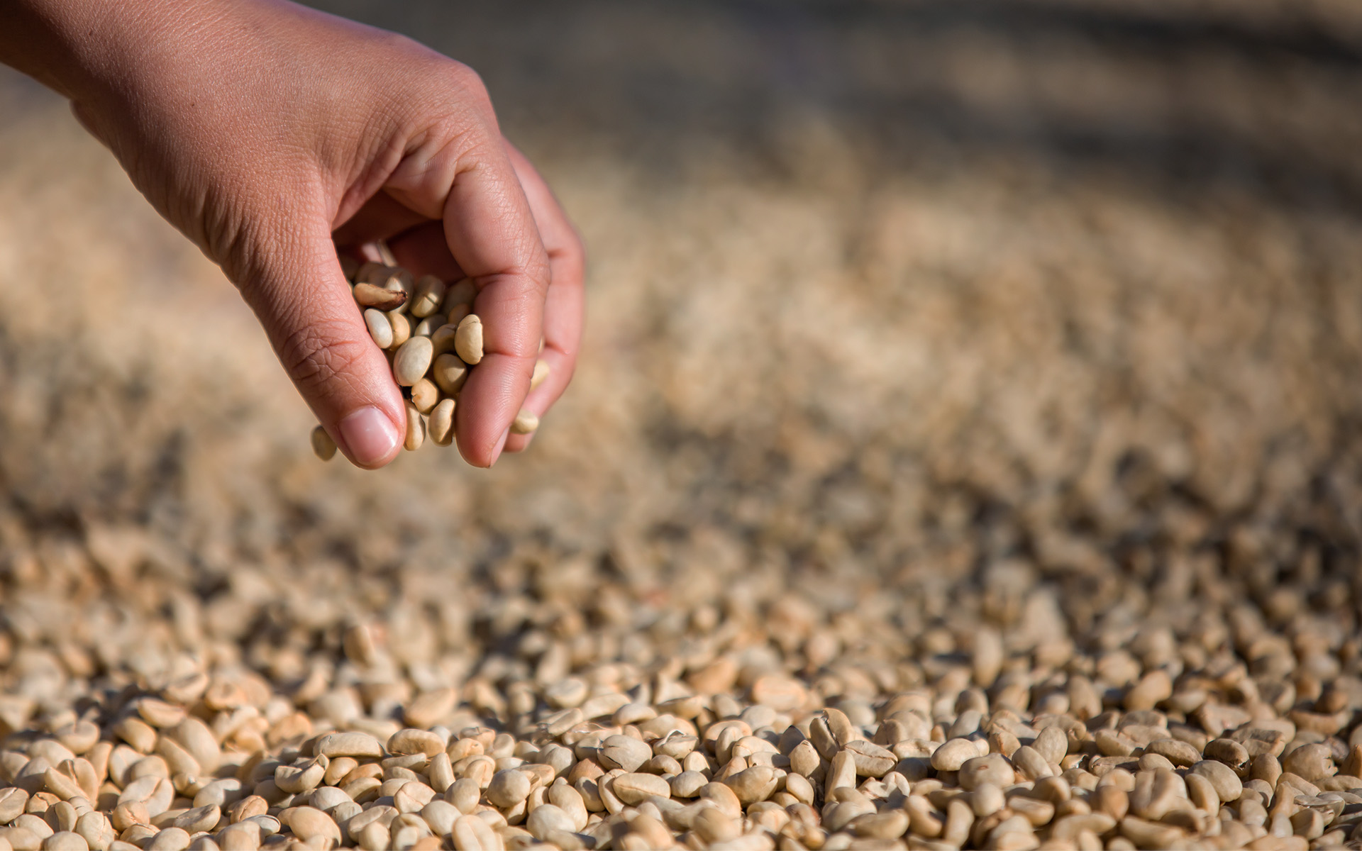 Contact - AIM COFFEE