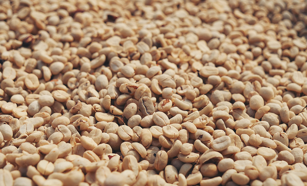 Foundation - AIM COFFEE ACADEMY